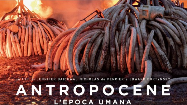 BASIC PRESENTATION | Genially