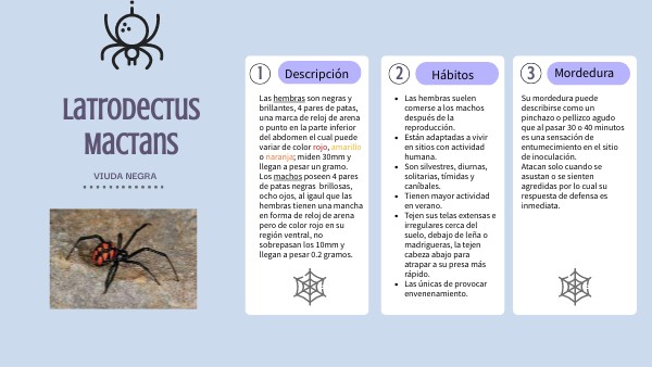 arañas venenosas | Genially