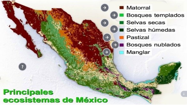 Infografía de las regiones naturales de México | Genially