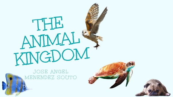 THE ANIMAL KINGDOM | Genially