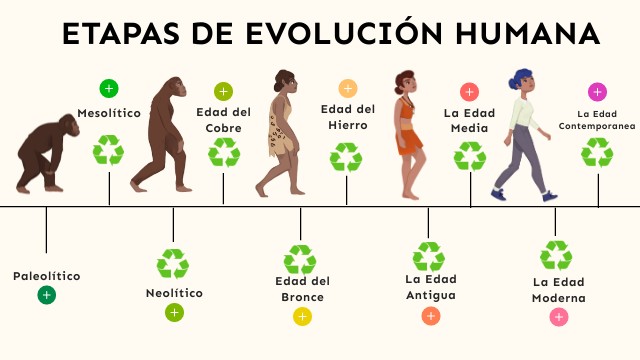 ETAPAS DE EVOLUCIÓN HUMANA | Genially