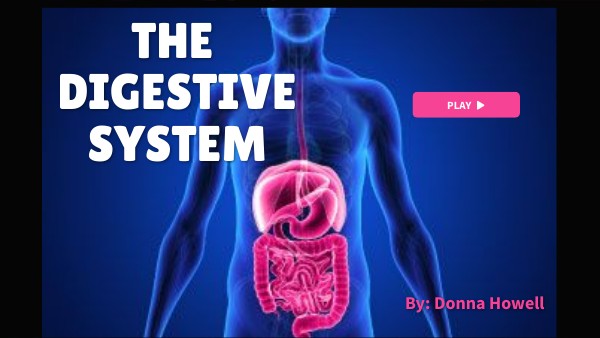 Digestive System by Donna Howell | Genially