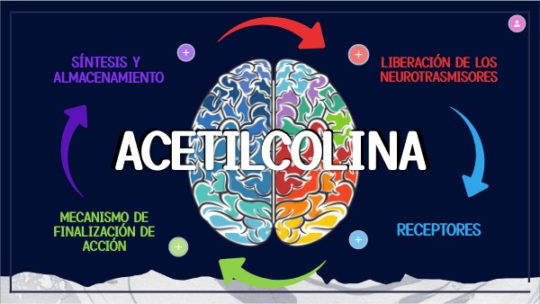 ACETILCOLINA | Genially