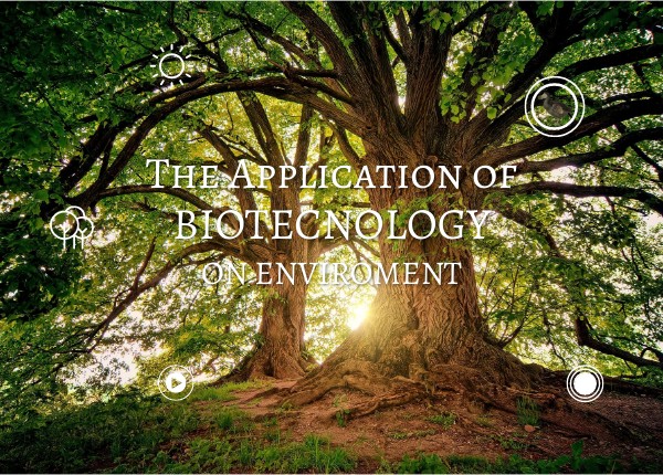 NATURE INTERACTIVE IMAGE