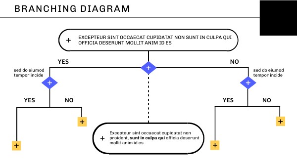 BRANCHING DIAGRAM