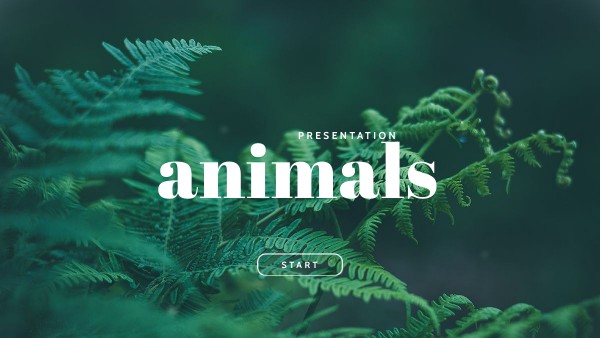 ANIMAL PRESENTATION | Genially