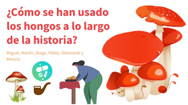 Usos que se les ha dado a los hongos a lo largo de la historia. | Genially