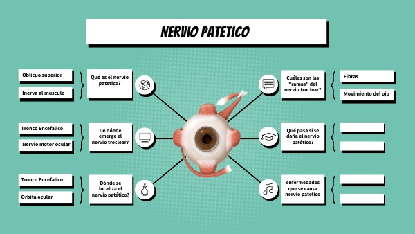 Nervio Patetico | Genially