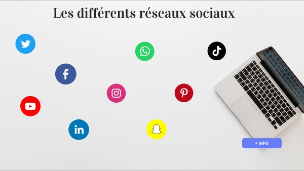 les réseaux sociaux