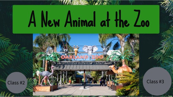 A New Animal at the Zoo
