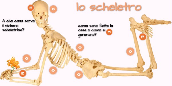 Lo scheletro