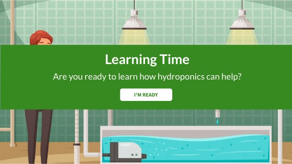 Learning Time: How Hydroponics can help | Genially