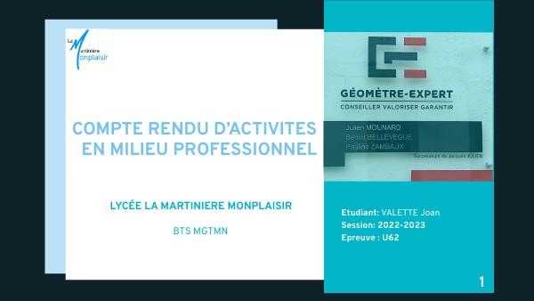 Oral de stage | Genially