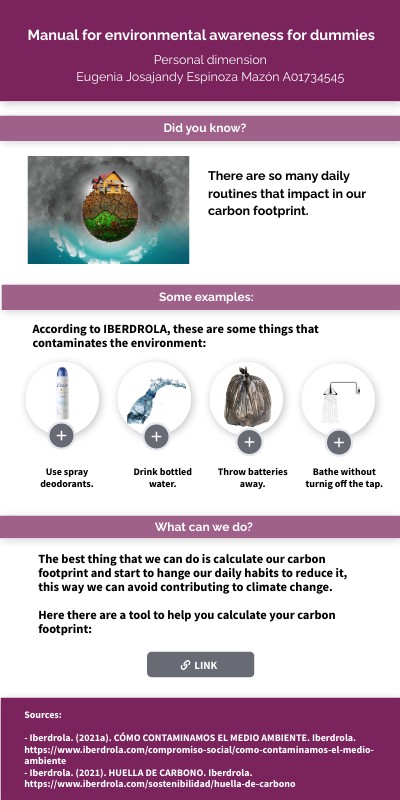 Evidence 2: Environmental awareness and action manual for dummies