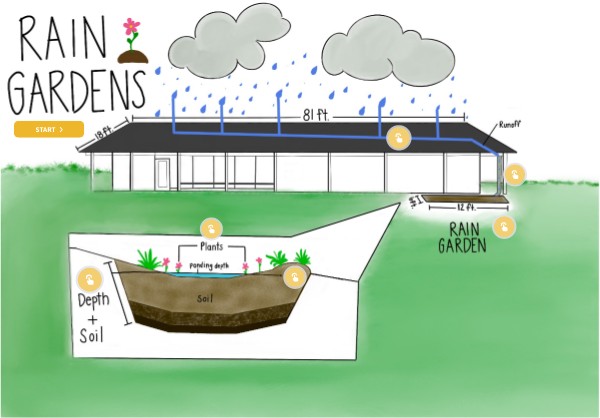 Rain Garden Interactive Infographic