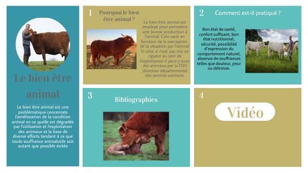 Le bien être animal | Genially