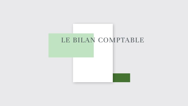 Le bilan comptable