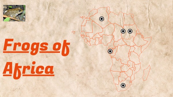 Frogs of Africa