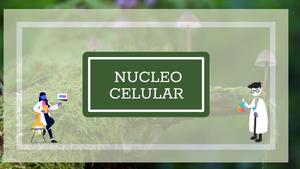 núcleo celular | Genially