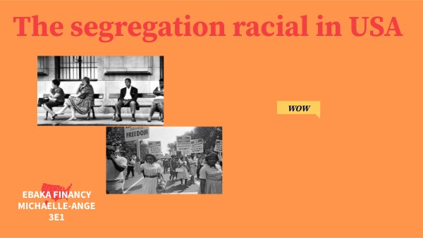 SEGREGATION IN USA