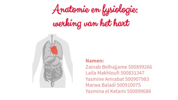Anatomie & fysiologie: werking van het hart | Genially