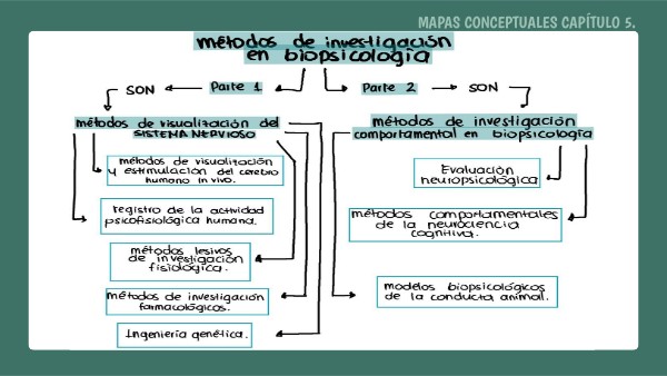 Mapas Cap 5 | Genially