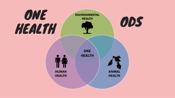 ONE HEALTH