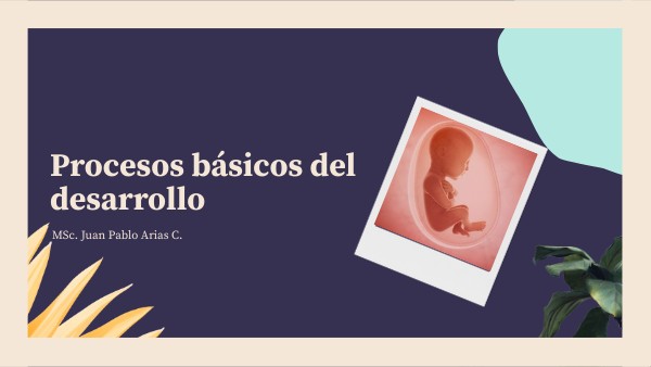 PROCESOS BASICOS DEL DESARROLLO | Genially