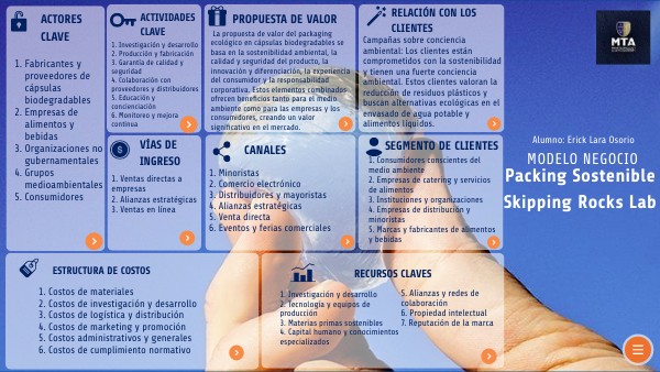 CANVAS MODELO DE NEGOCIO - Skipping Rocks Lab