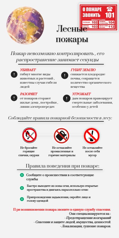 POLLUTION INFO | Genially