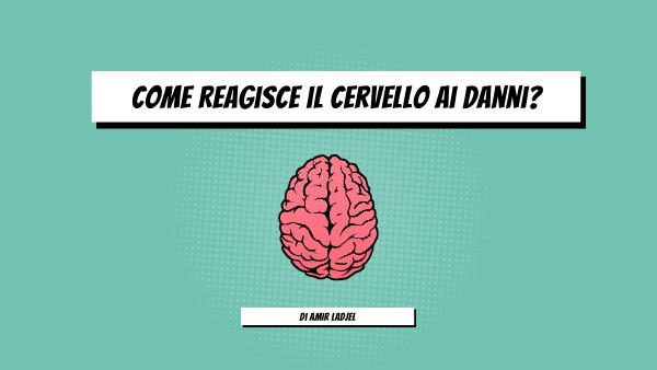 Mappa Mentale Cervello | Genially