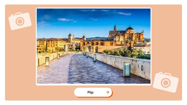 IMAGE FLASHCARD | Genially
