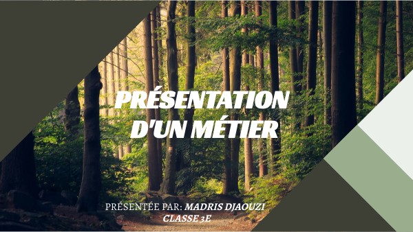 DIAGONAL PROJECT PRESENTATION