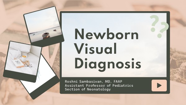 Visual Diagnosis 4.2023