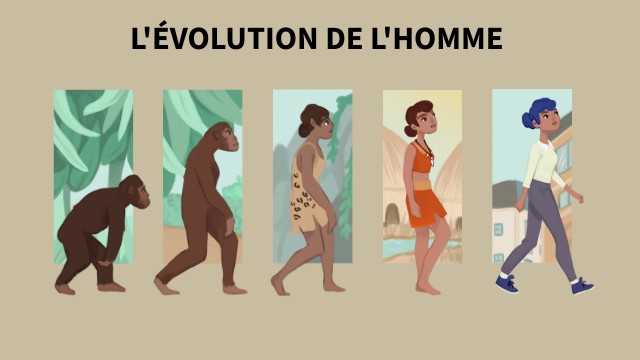 STAGES OF HUMAN EVOLUTION