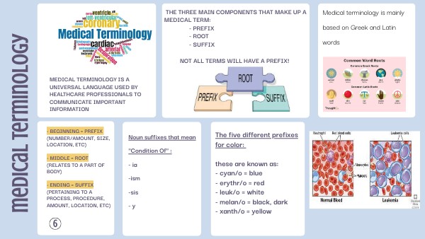 medical terms and body organization