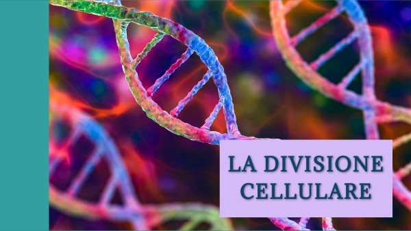 la divisione cellulare