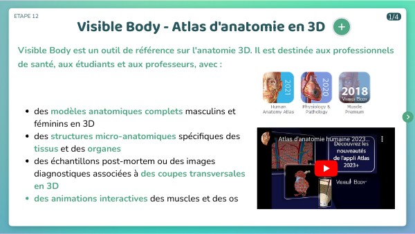 L2 Orthoptie - Visible Body - Atlas d'anatomie 3d | Genially