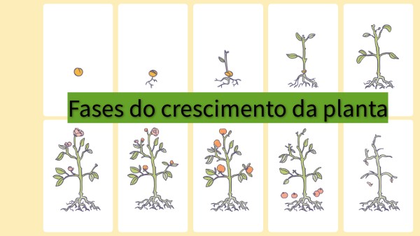 Fases do crescimento das plantas | Genially