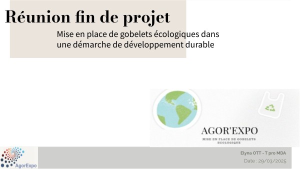 Diaporama réunion bilan fin de projet Elyna Ott | Genially