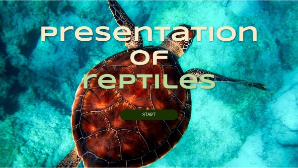 PRESENTATION OF REPTILES