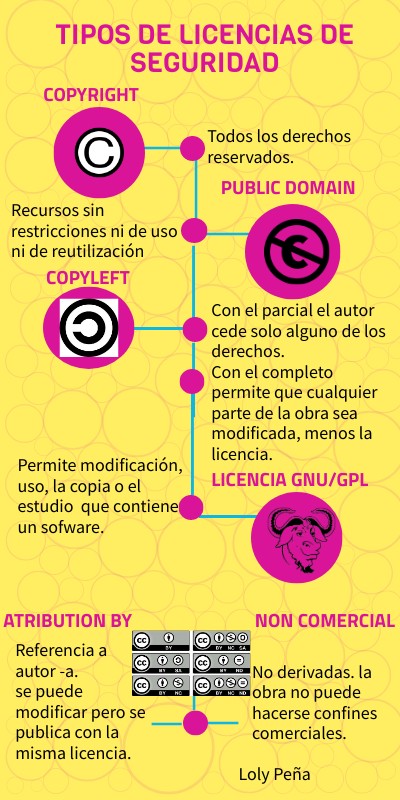 infografía licencias y seguridad | Genially
