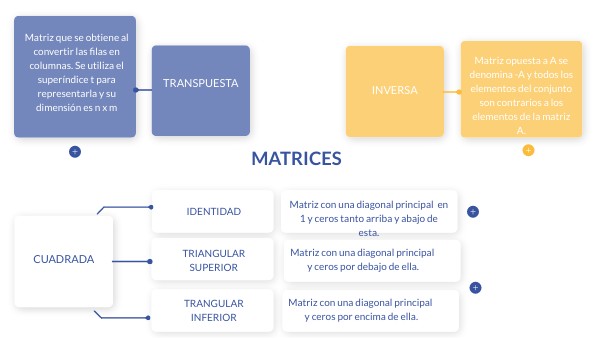 MAPA CONCEPTUAL MATRICES | Genially