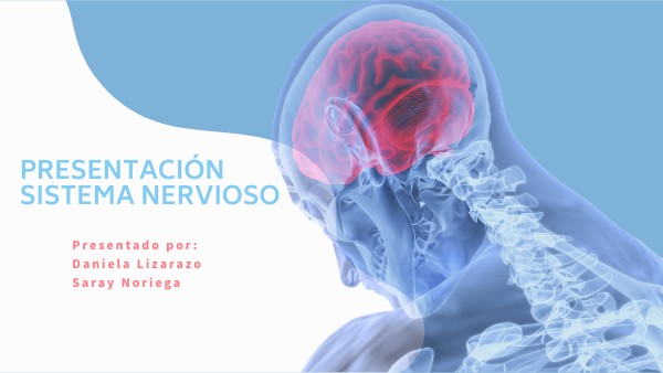 Presentacion Sistema Nervioso | Genially