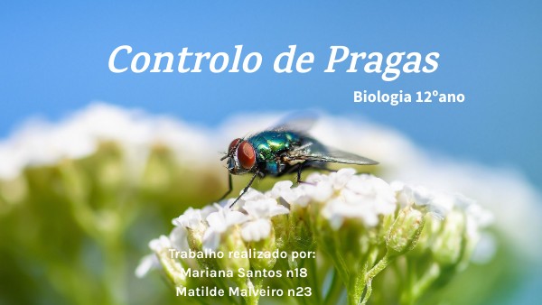 Controlo de Pragas