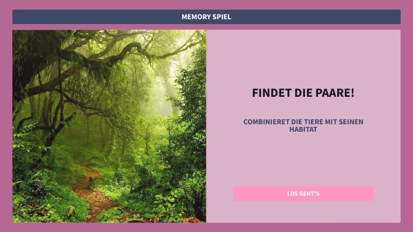 Find the Pair - Memory Game