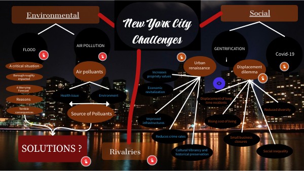 NYC's challenges