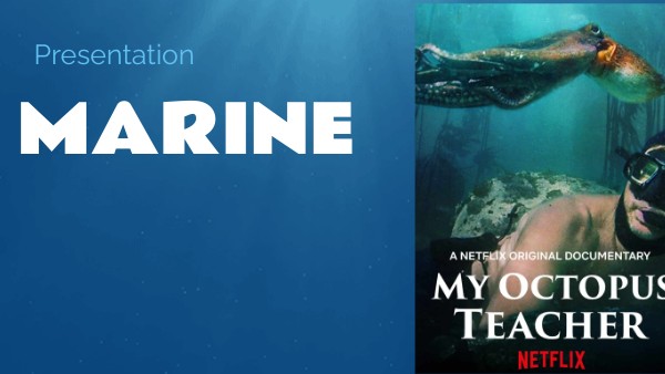 my octopus teacher | Genially