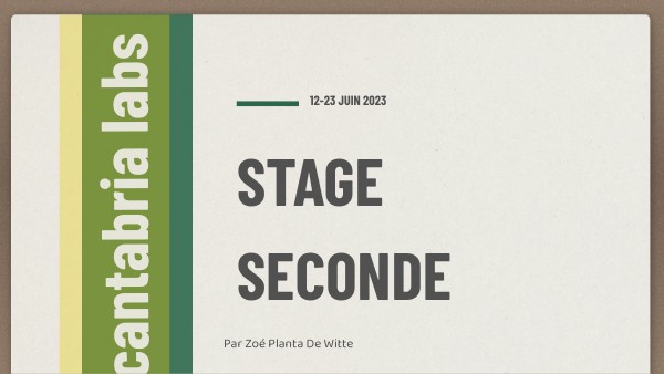 stage 2nd | Genially