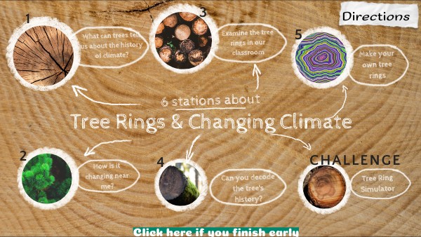 Tree Rings and Climate Stations
